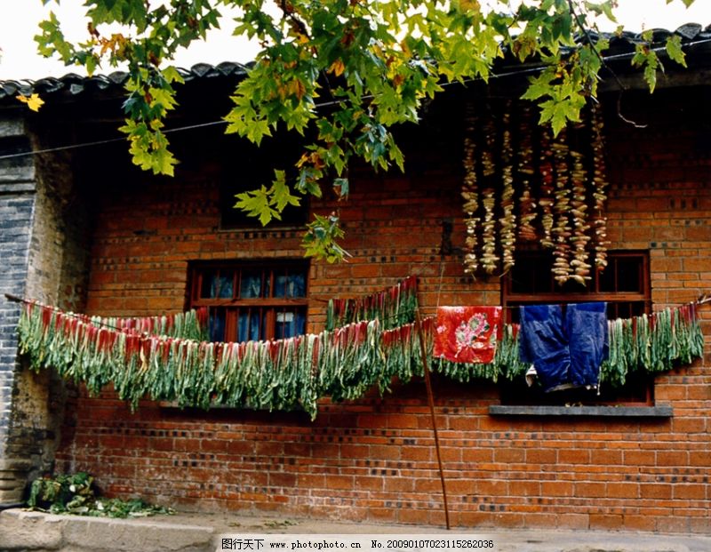 生活风俗0102图片_家庭生活_人物形象-图行天下素材网